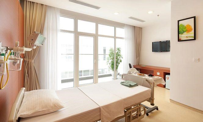 VINMEC TIMES CITY INTERNATIONAL MULTI-HOSPITAL - BIG SKY JOIN STOCK COMPANY